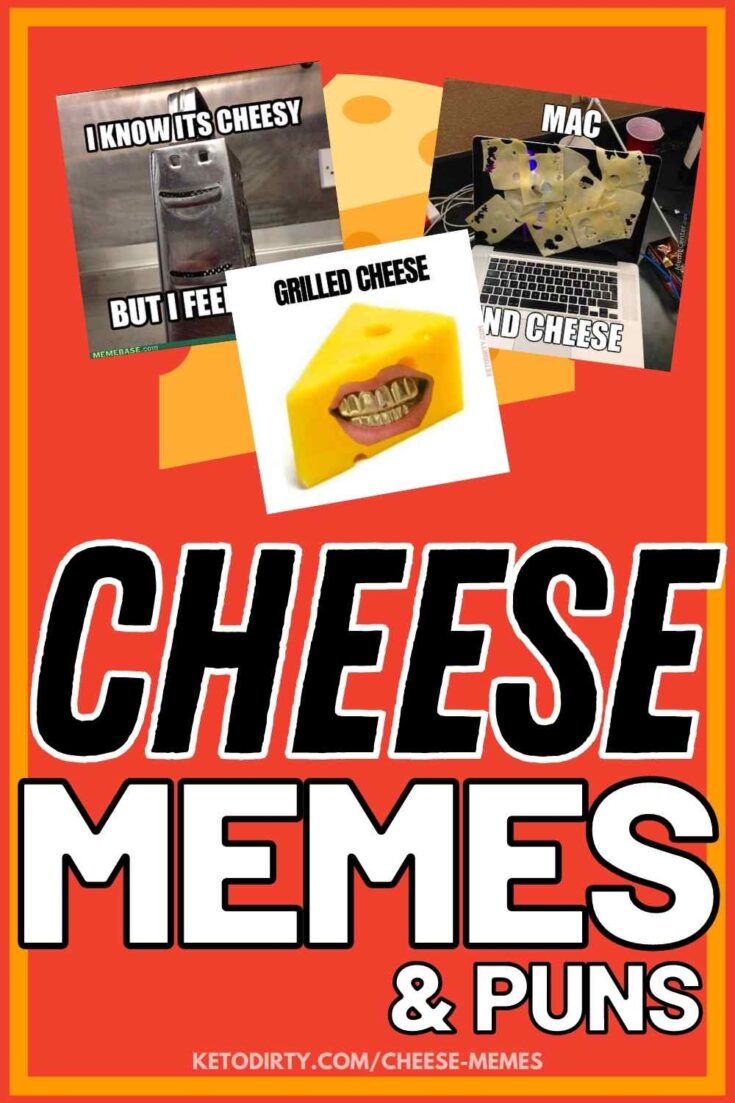 Funny Cheese Memes - 30+ Laughs For The Cheesy