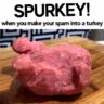 Spam Memes - 15+ Funny Images Of Processed Canned Meat