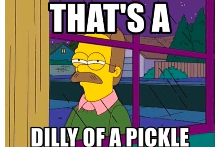 Pickle Memes And Puns - 20+ Funny Images That Are A Big Dill