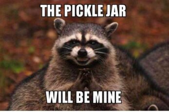 Pickle Memes And Puns - 20+ Funny Images That Are A Big Dill