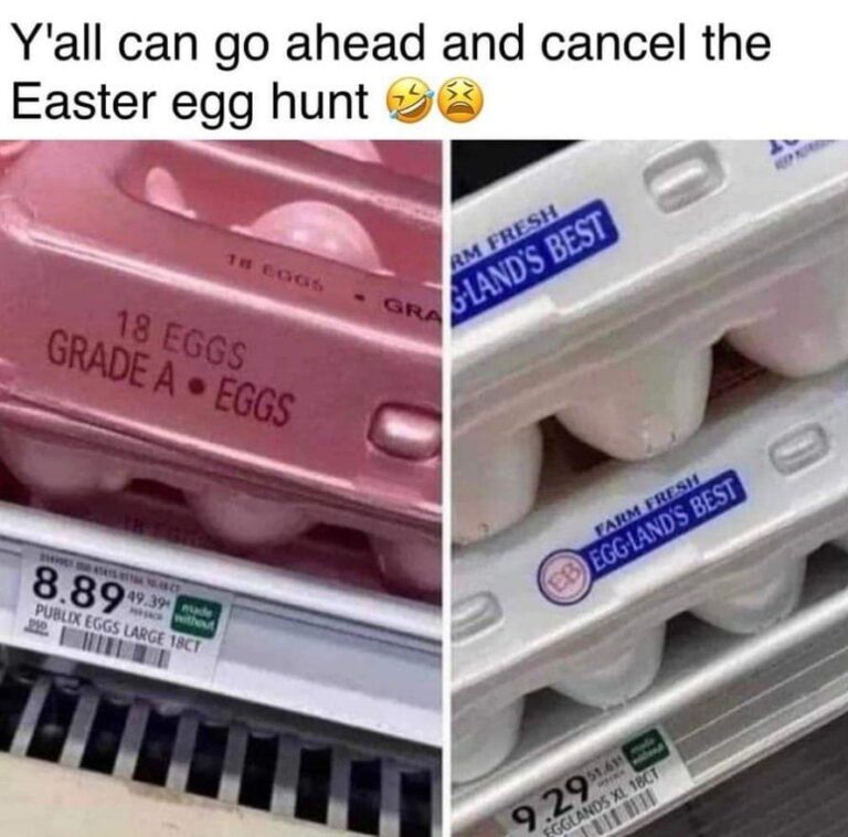 Egg Memes - 25+ Funny Images That Will Crack You Up!