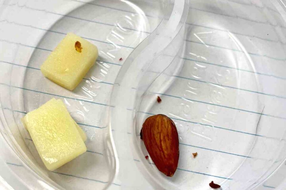 Mounjaro Week 2 Update - Weight Loss Results And Side Effects