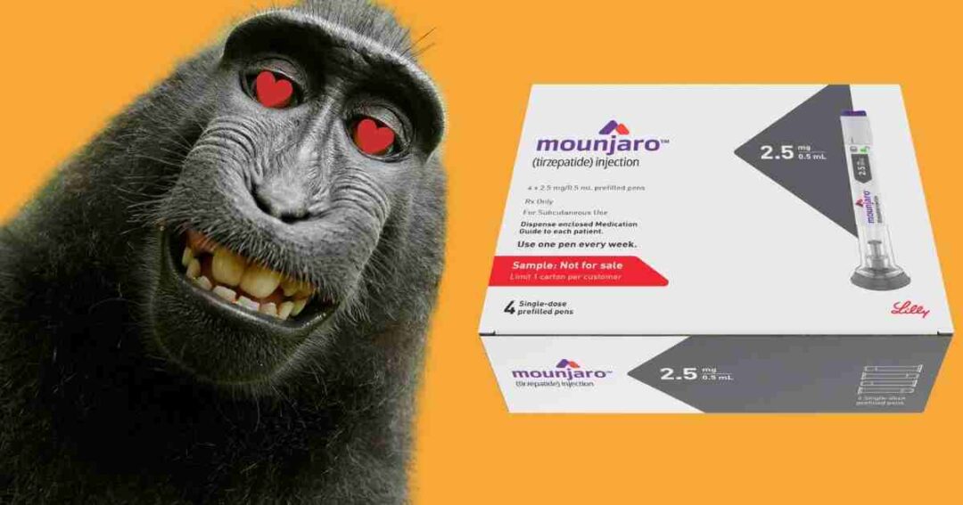 Mounjaro And Alcohol: 7 Helpful Things To Know Before You Drink