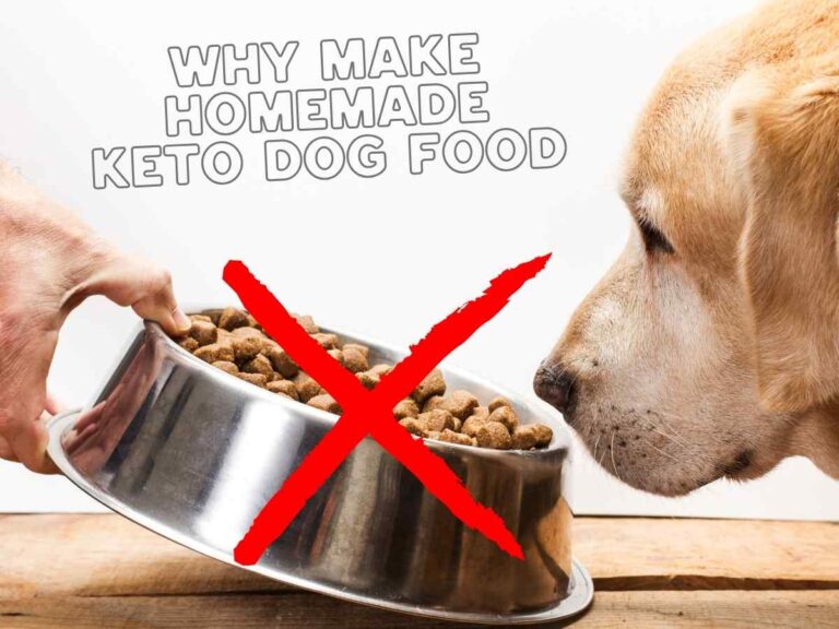 DIY Keto Dog Food Recipe: Healthy, Easy, Affordable